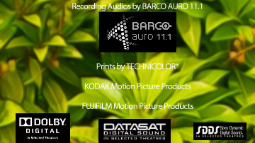 Wideo - Make animated online videos free