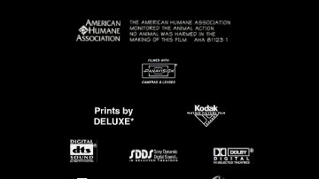 Wideo - Make animated online videos free